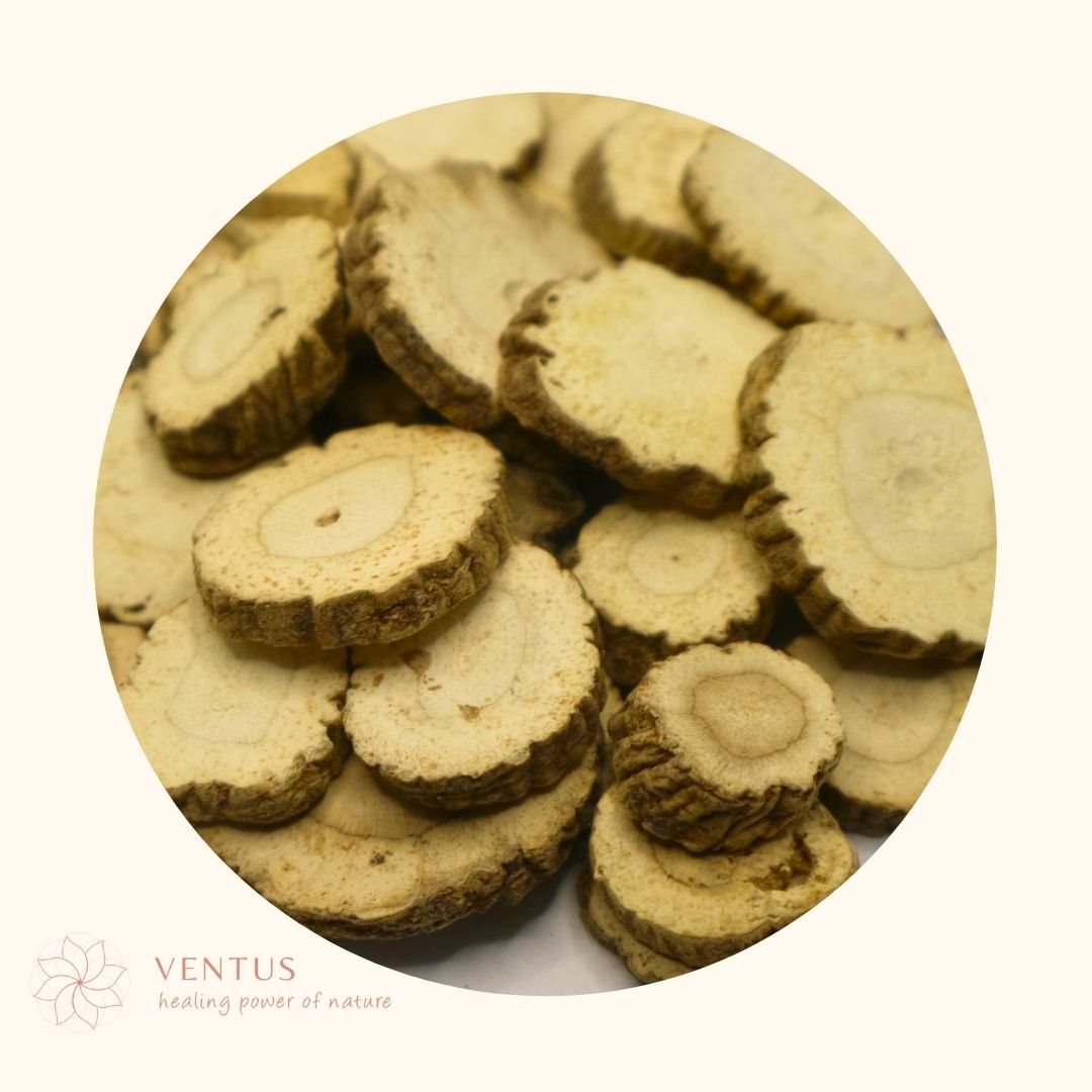 BAI ZHI - 白芷 – VentusClinicals