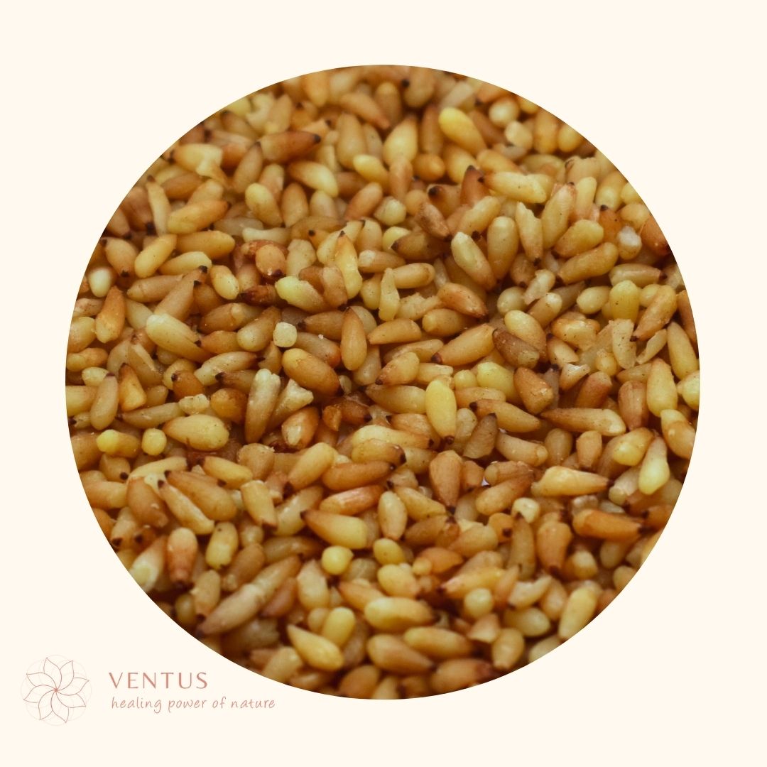 BAI ZI REN - 柏子仁 – VentusClinicals