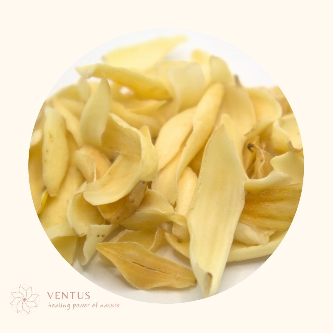 BAI HE - 百合 - whole plant – VentusClinicals
