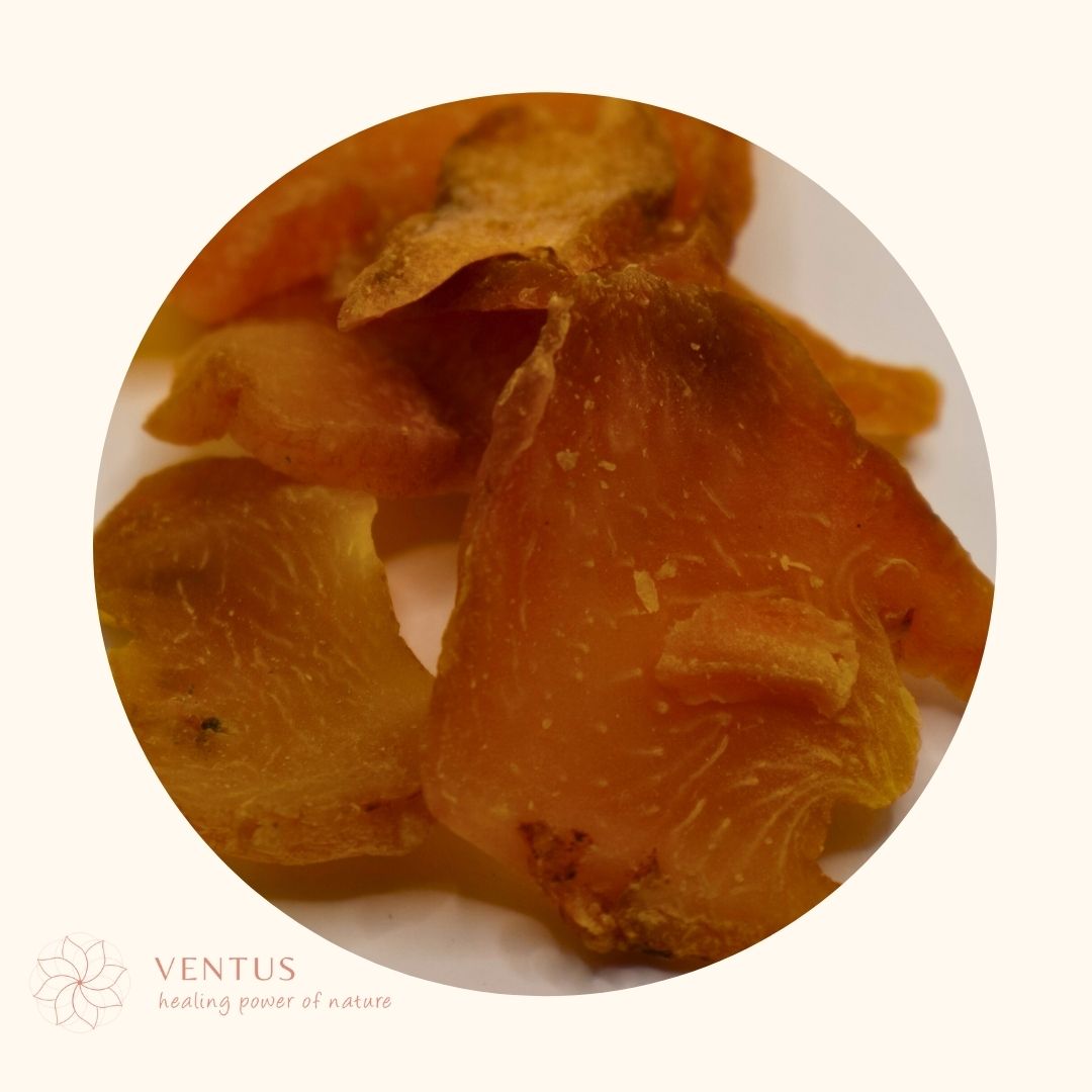 HUANG JING - 黄精 – VentusClinicals