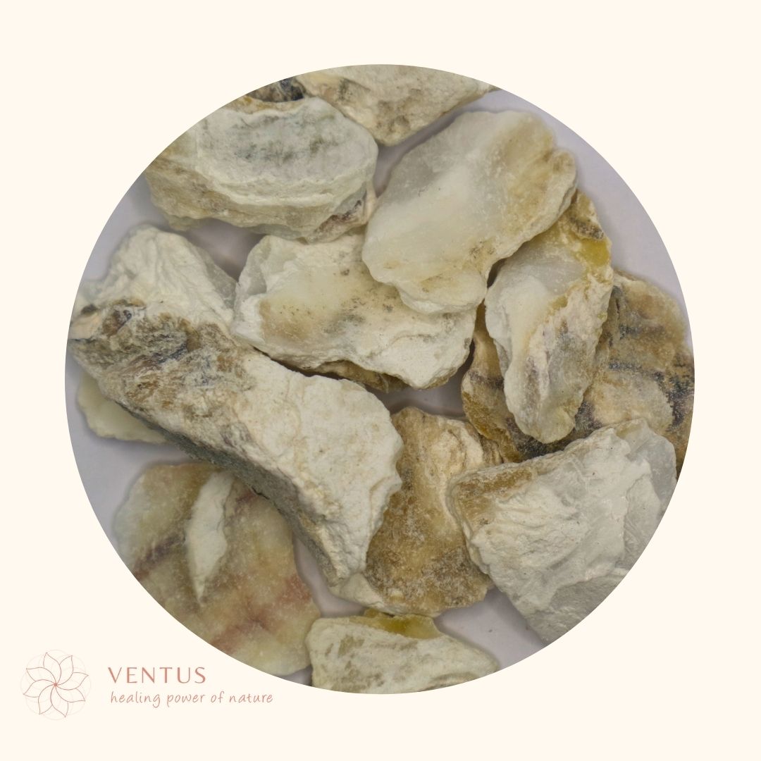 MU LI (SHENG) - 生牡蛎 - Ventus Clinicals Raw Herb – VentusClinicals