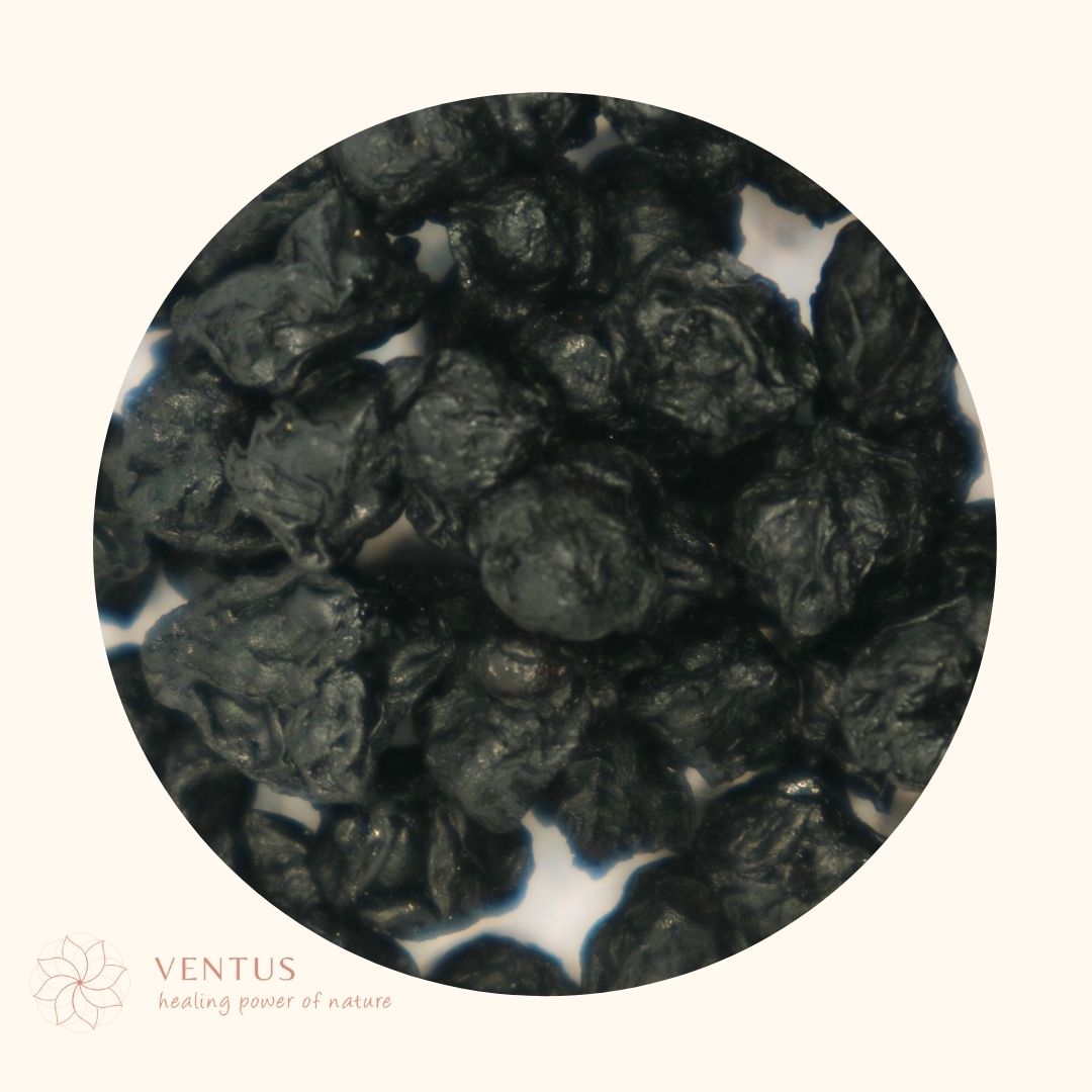 WU WEI ZI (CU) - 五味子 - VentusClinicals Chinese Herbs