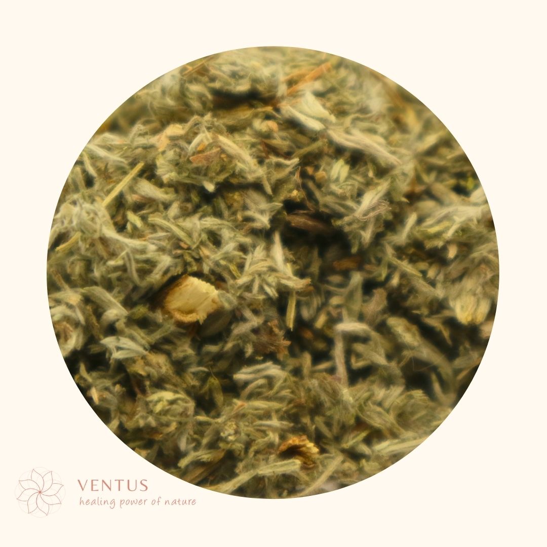 YIN CHEN - 茵陈 - VentusClinicals Chinese Herbs