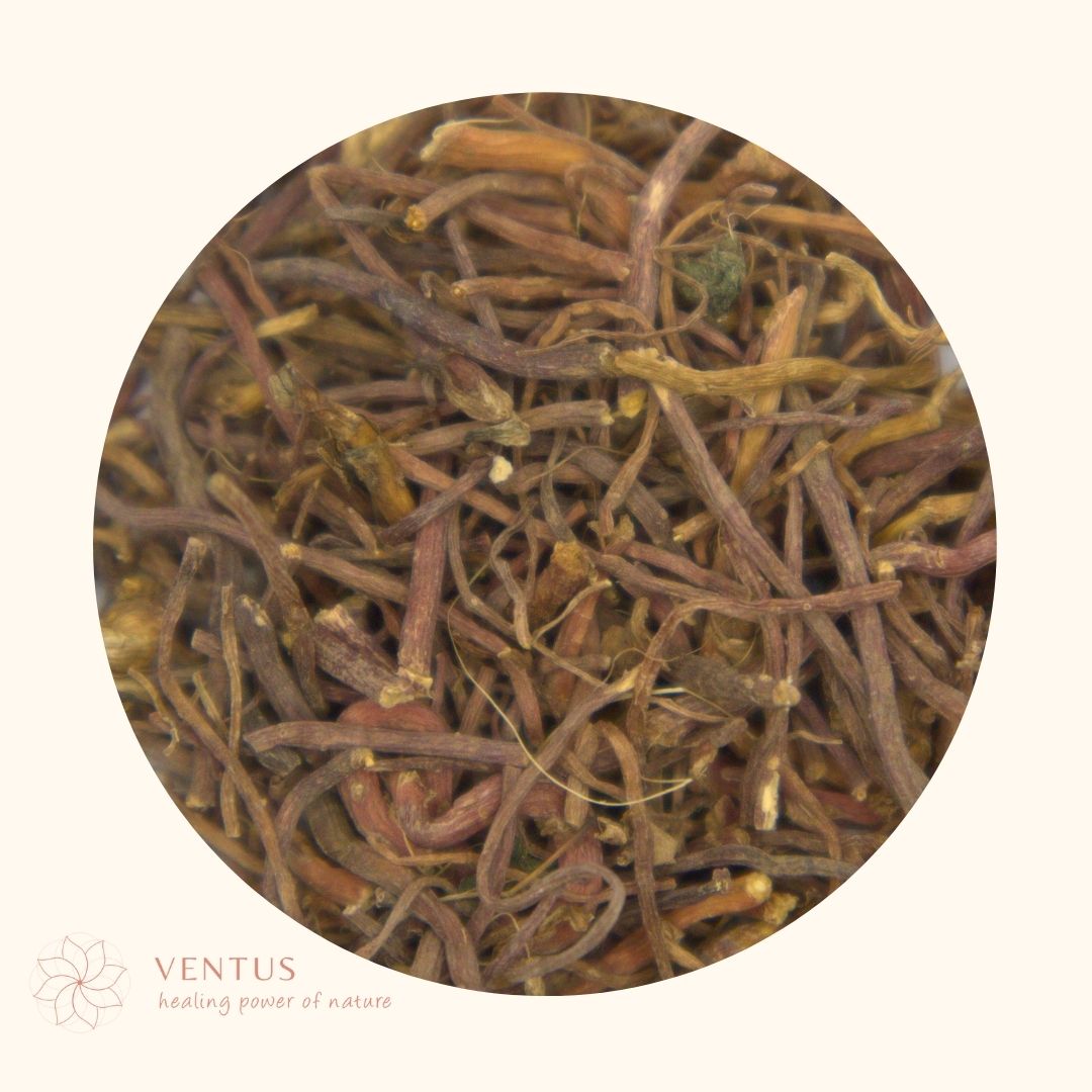 ZI WAN - 紫菀 - VentusClinicals Chinese Herbs