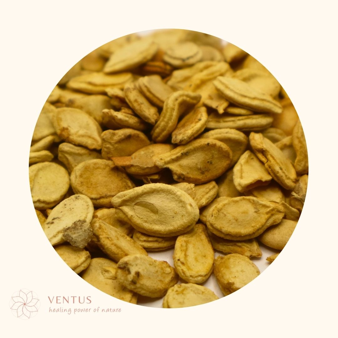 DONG GUA ZI (CHAO) - 冬瓜子 – VentusClinicals