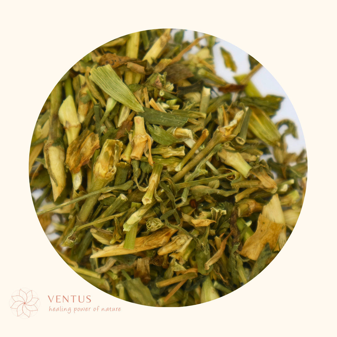 QU MAI - 瞿麦 - Ventus Clinicals Raw Herb – VentusClinicals