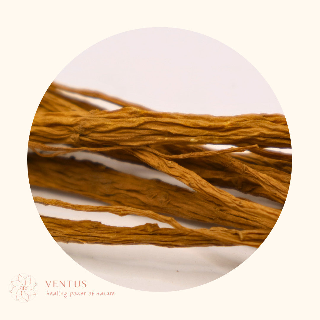 REN SHEN - 人参 - Ventus Clinicals Raw Herb – VentusClinicals